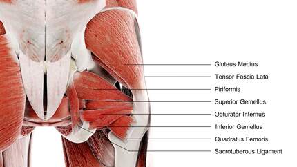 Hüftmuskulatur trainieren und stärken: So geht's! | WOMEN'S HEALTH